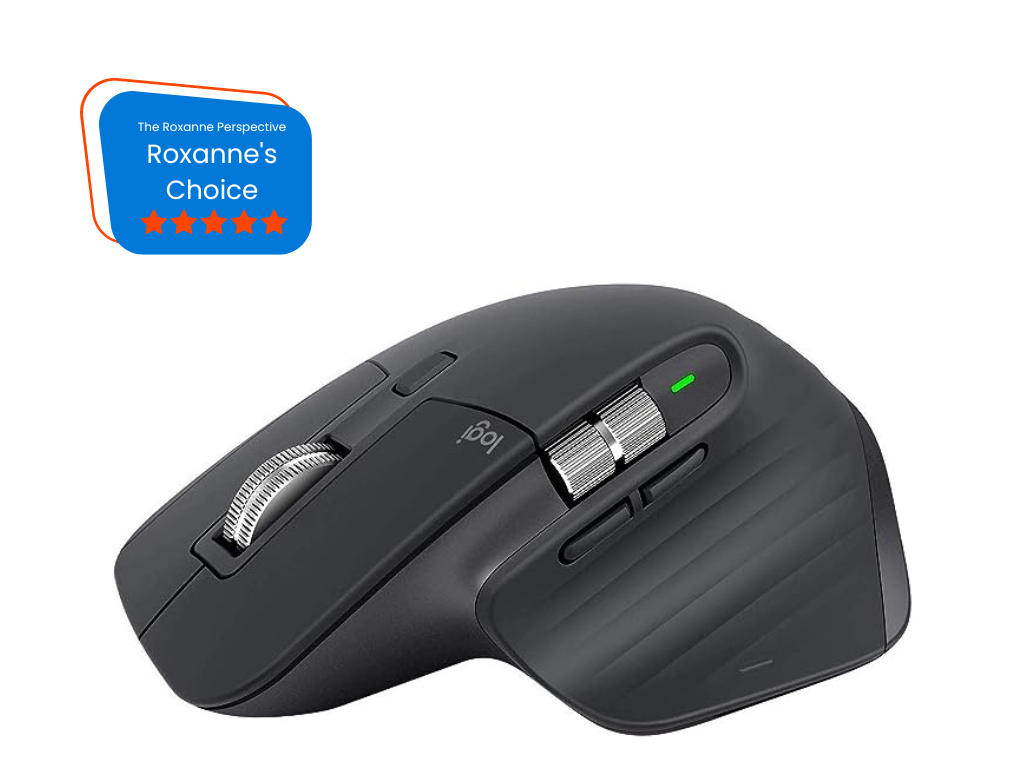 The Best Mouse for Designers (July, 2023) - The Roxanne Perspective